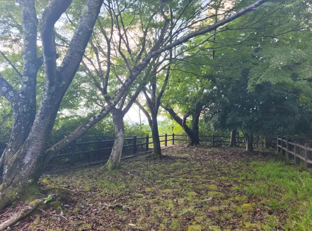 Amagase Forest Park is home to some of Kyoto’s best scenery | Medium