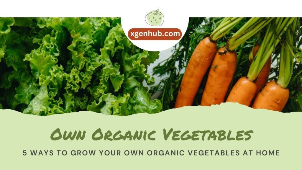5 Ways to Grow Your Own Organic Vegetables at Home | by Joyhaque | Sep ...