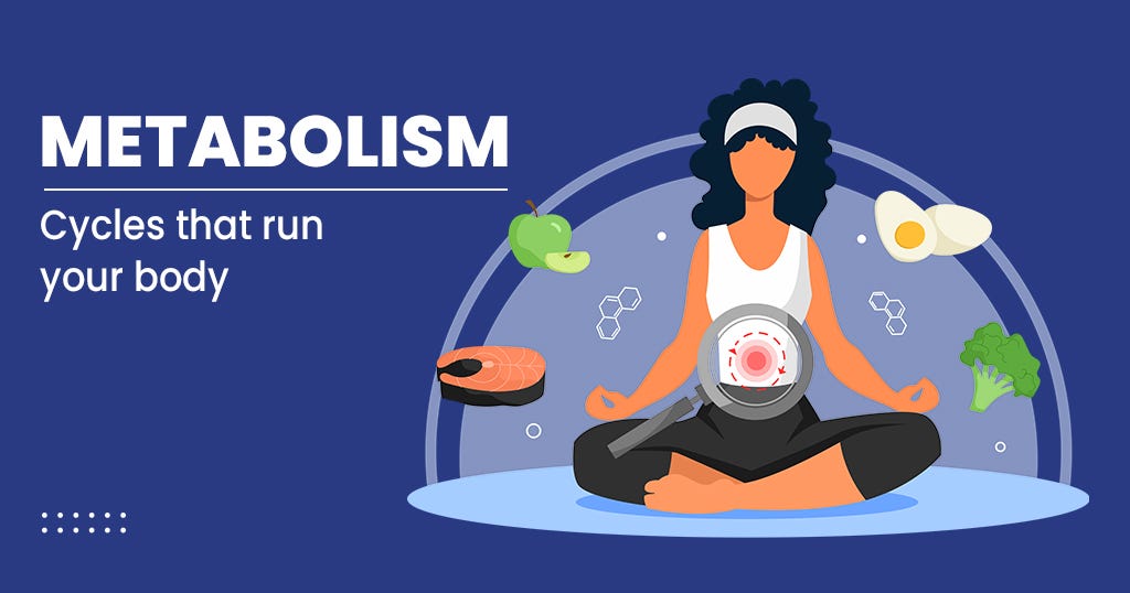 Demystifying Metabolism: The Key to Unlocking Weight Loss Success | by ...