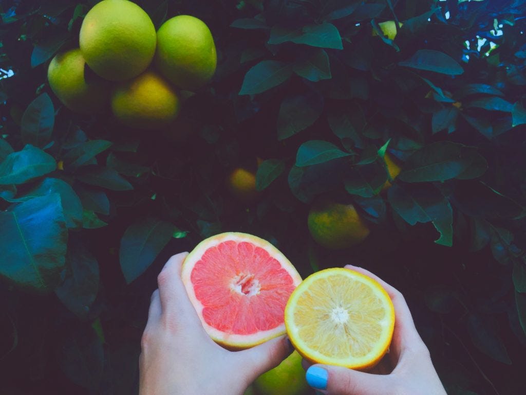 Feeling Fruity. Jayme Verman | by The York Review | The York Review ...
