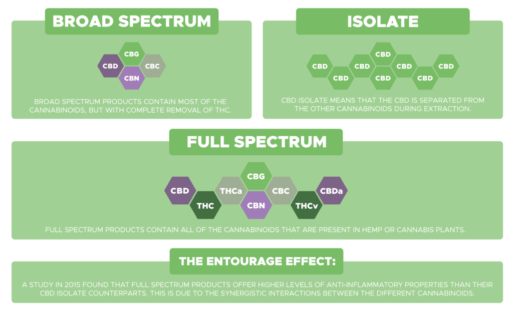 FULL SPECTRUM VS BROAD SPECTRUM VS CBD ISOLATE: DIFFERENCE EXPLAINED | by Korasana | Medium