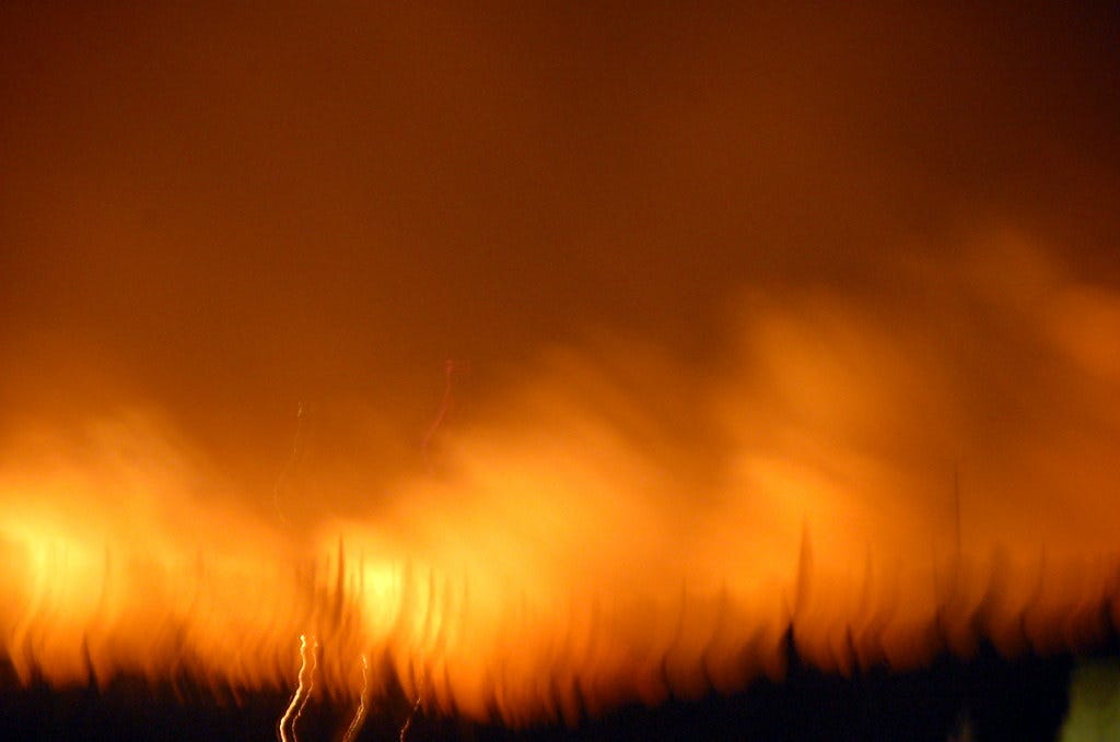 A forest fire. (a poem).. in the wake of the forests’ burning —… | by ...