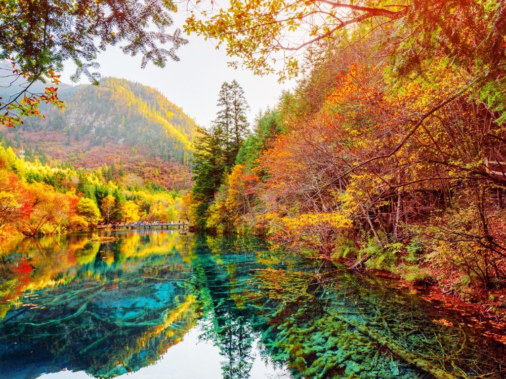 The Difference Between Ecotourism, Sustainable Tourism And Green ...