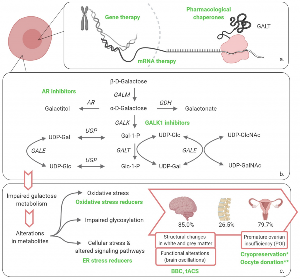 Whole-Animal Genetic Model to Mimic Aspects of the Patient Phenotype of ...