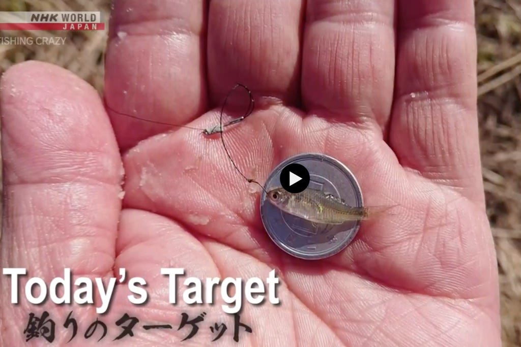 Fishing Crazy: In Pursuit of the Smallest Catch | by VARIVAS | Medium