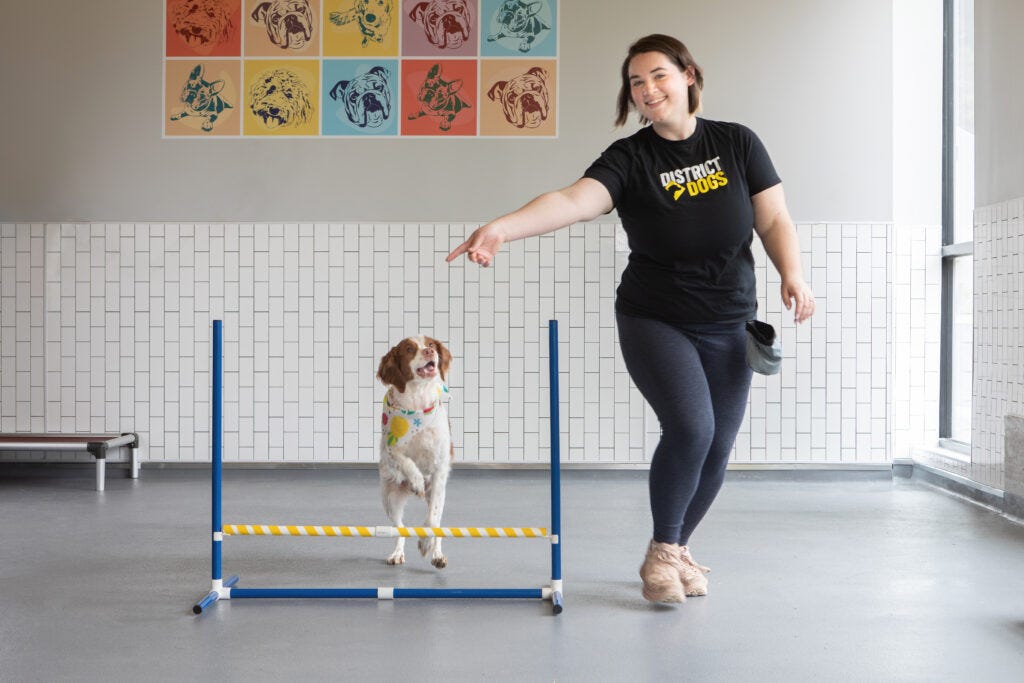 Positive Approach Dog Training & Daycare 2024: Everything You Need to ...