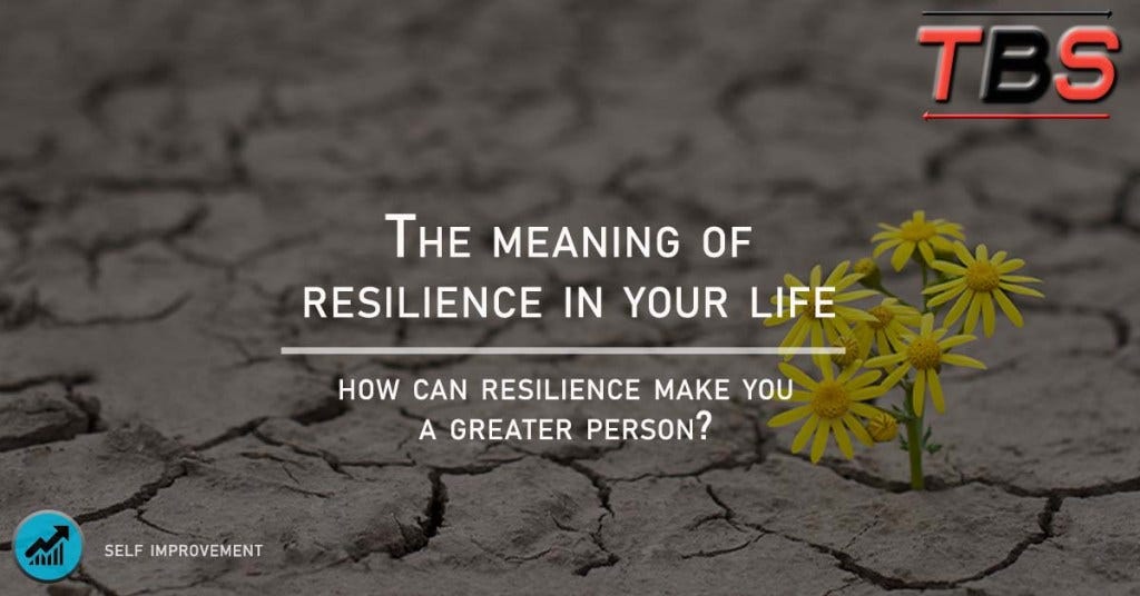 The Meaning of Resilience in Your Life and Development | by Training By ...