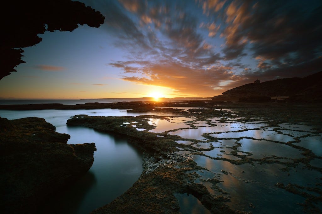 Return to the Rockpools | by Michael Gaylord | Noodles & Curry