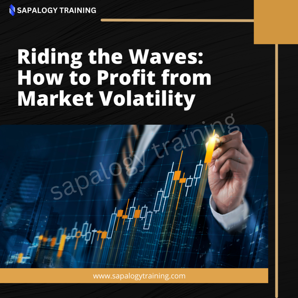 Riding the Waves: How to Profit from Market Volatility | by Sapalogytraining | Oct, 2024 | Medium