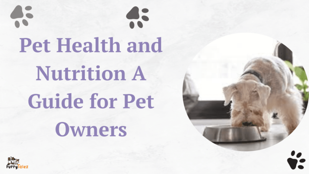 Pet Health and Nutrition: A Guide for Pet Owners - Kishan Kumar - Medium