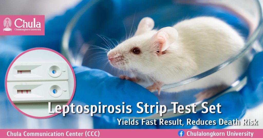 Leptospirosis Strip Test Set — Yields Fast Result, Reduces Death Risk ...