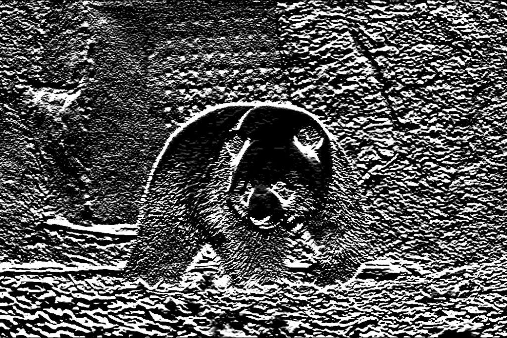 Get Started With Opencv Get Started With Opencv In Python By George Pipis Level Up Coding