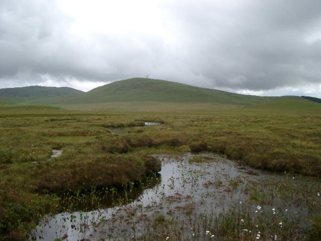 The Flow Country of Northern Scotland | by John Welford | Medium