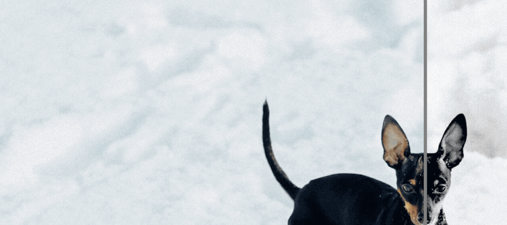 Split.js Resizeable Split Image Views | by w3hubs | Medium