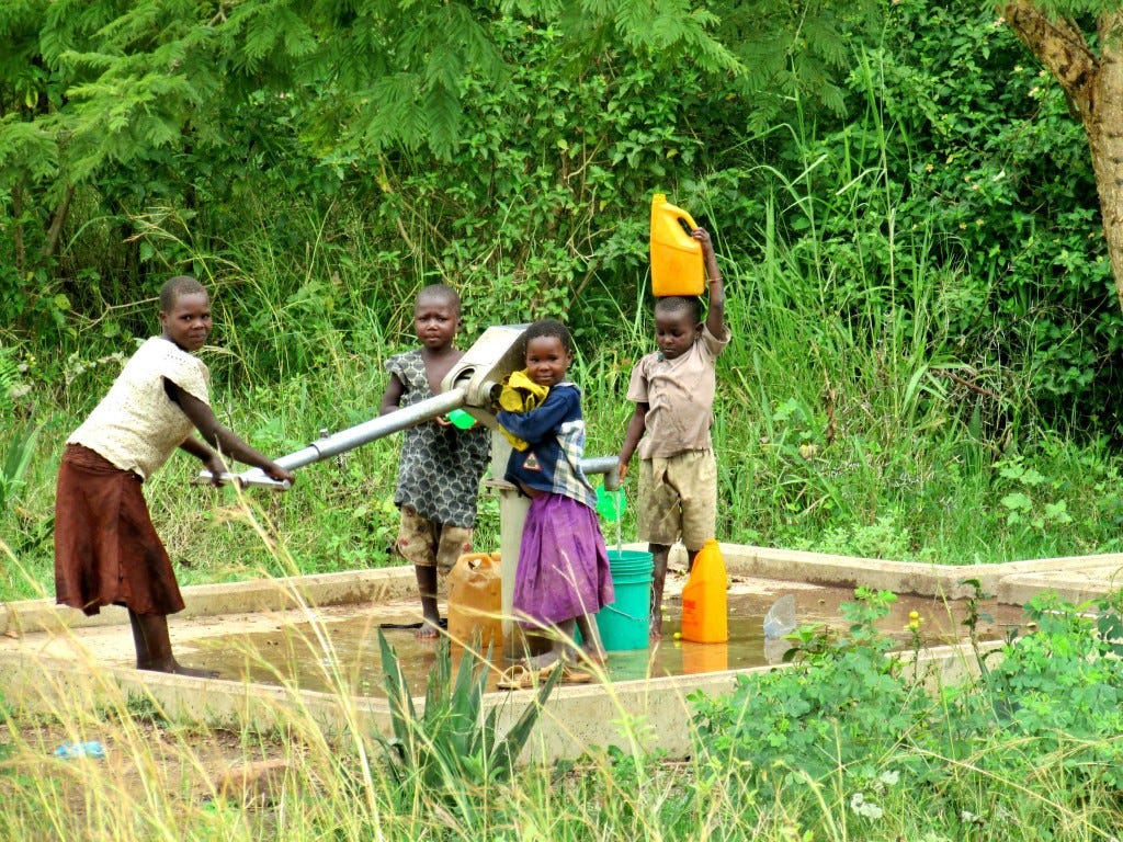 Predicting Functional Water Pumps in Tanzania using Random Forests and Logistic Regression in ...