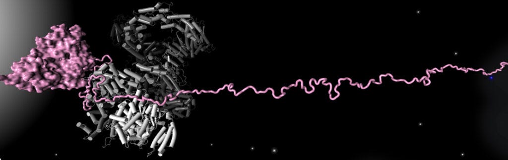 Artemis:DNA-PKcs: A new drug target for cancer treatment? | by Research ...