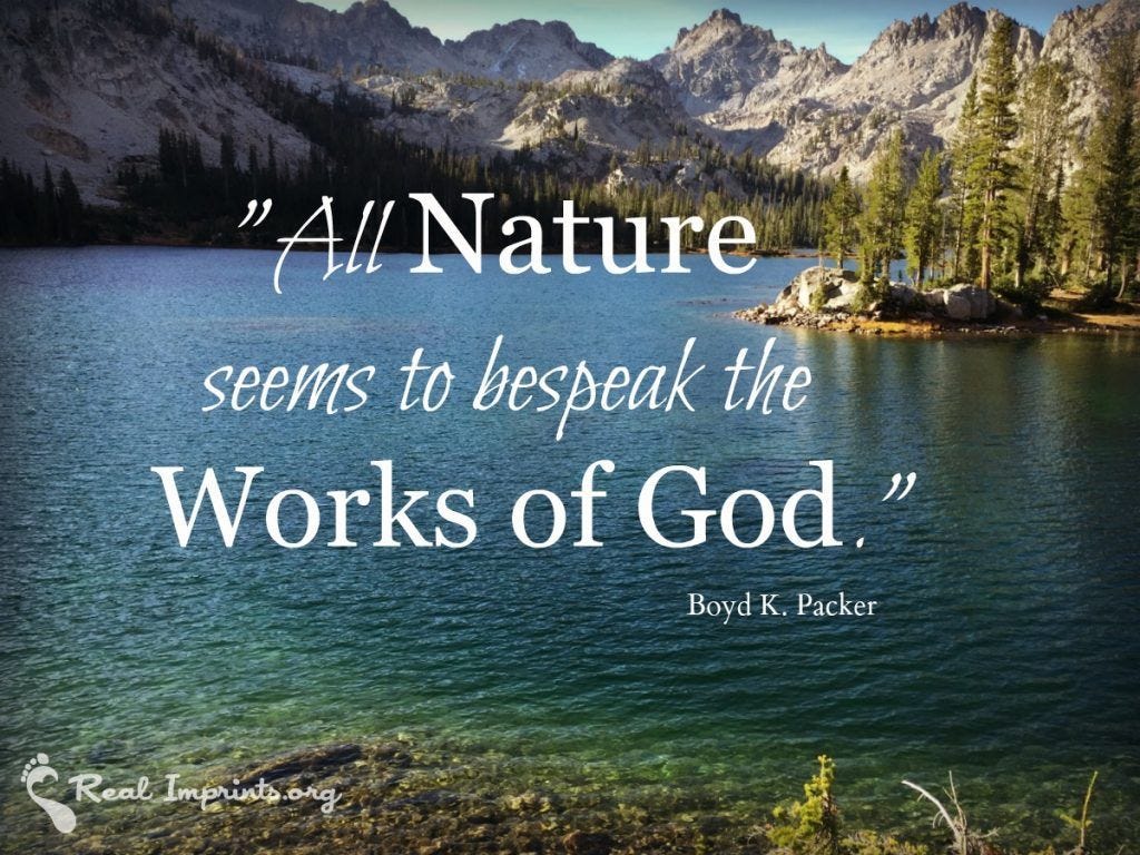 Creation, God’s Second Book of Love | by Mrs Diane Mary Markey | The ...