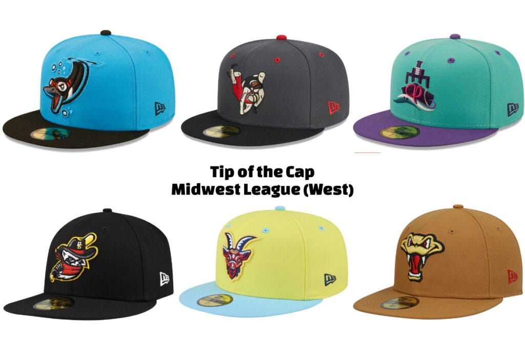 Grumpy Geese and Raccoons: the Midwest League’s 6 Best MiLB Hats | by ...