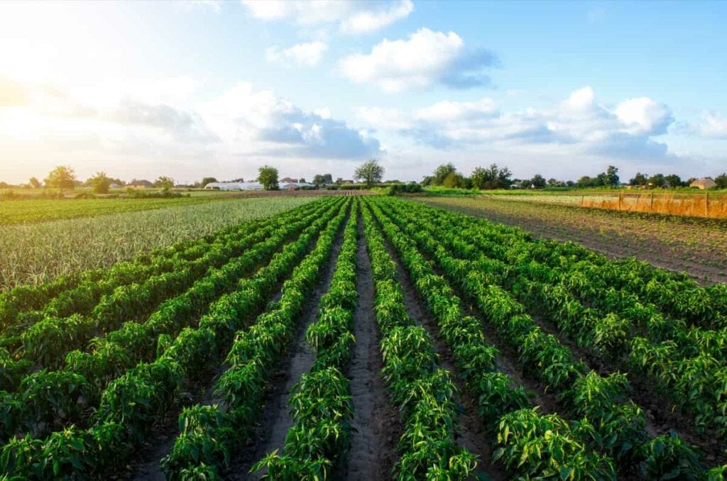 Crop Yield Prediction using Machine Learning—A TechCrush-Inspired ...