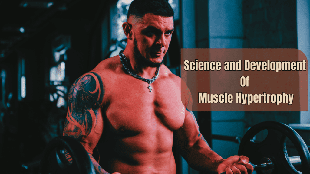 Science and Development of Muscle Hypertrophy | by Anatoli | Medium