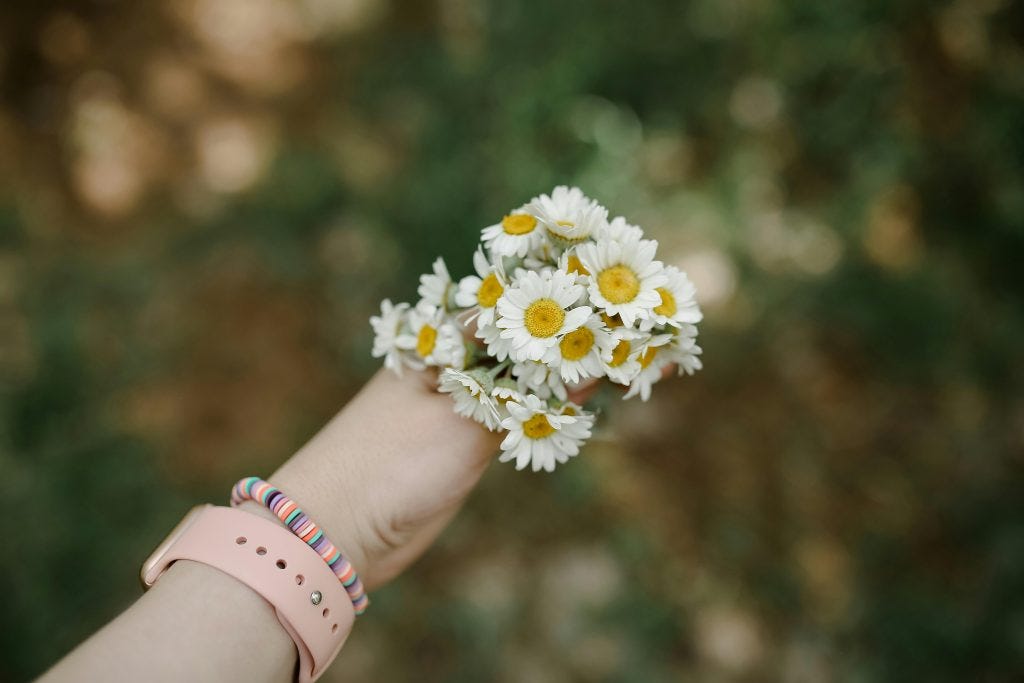 Transform Your Life: Growth Mindset vs Fixed Mindset | by Aligned with Jo | Medium