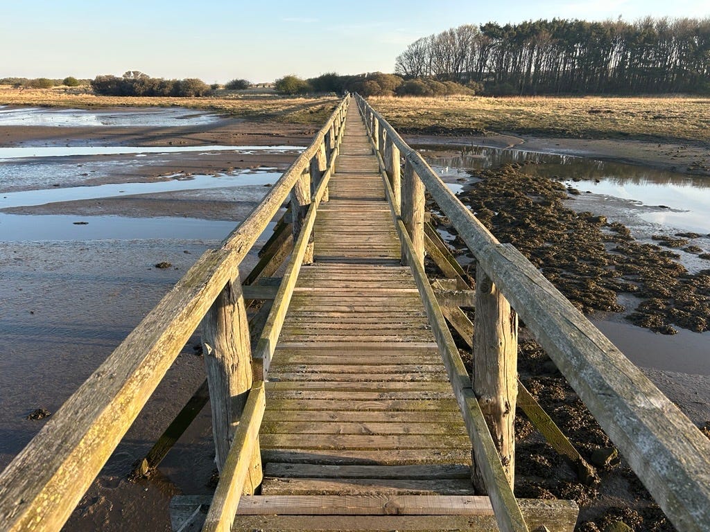 Weeknote 19/2025. A wobbly bridge, looking up and… | by Adam Coulson ...