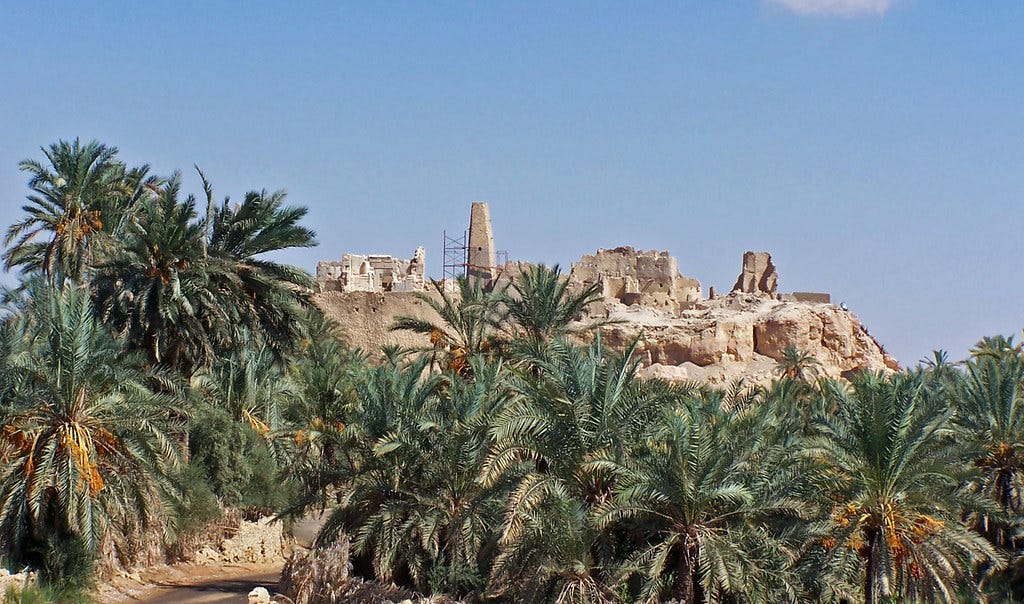 The Magic of Siwa Oasis Revealed: An Unforgettable Siwa Tour Experience ...