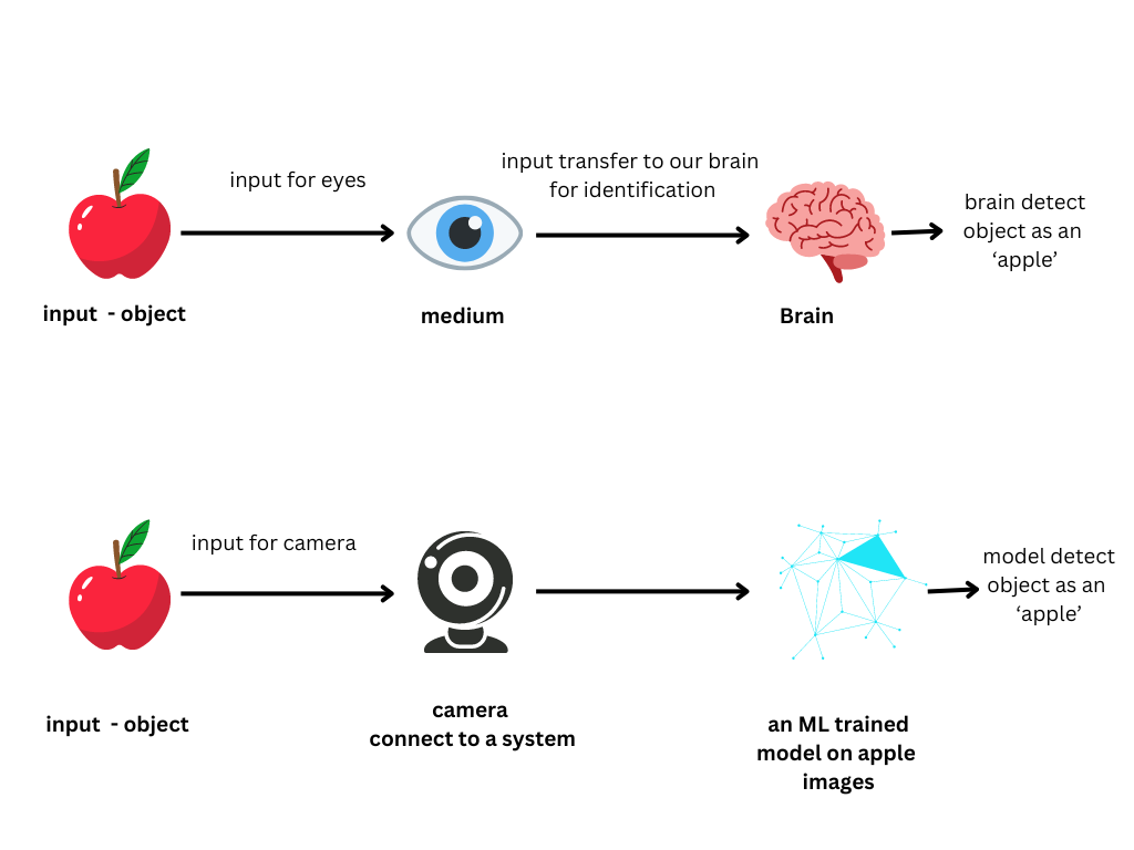 Introduction to Computer Vision. Welcome to the world of Computer… | by ...