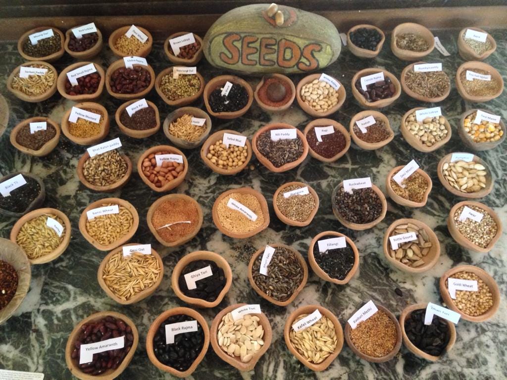 Free the seed. This simple write-up seeks to highlight… | by Benedict G ...