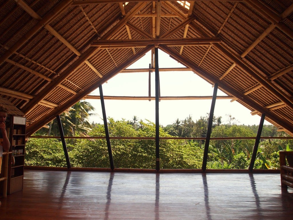 Bamboo for Sustainable Infrastructure Regeneration | by Brielle Elise ...
