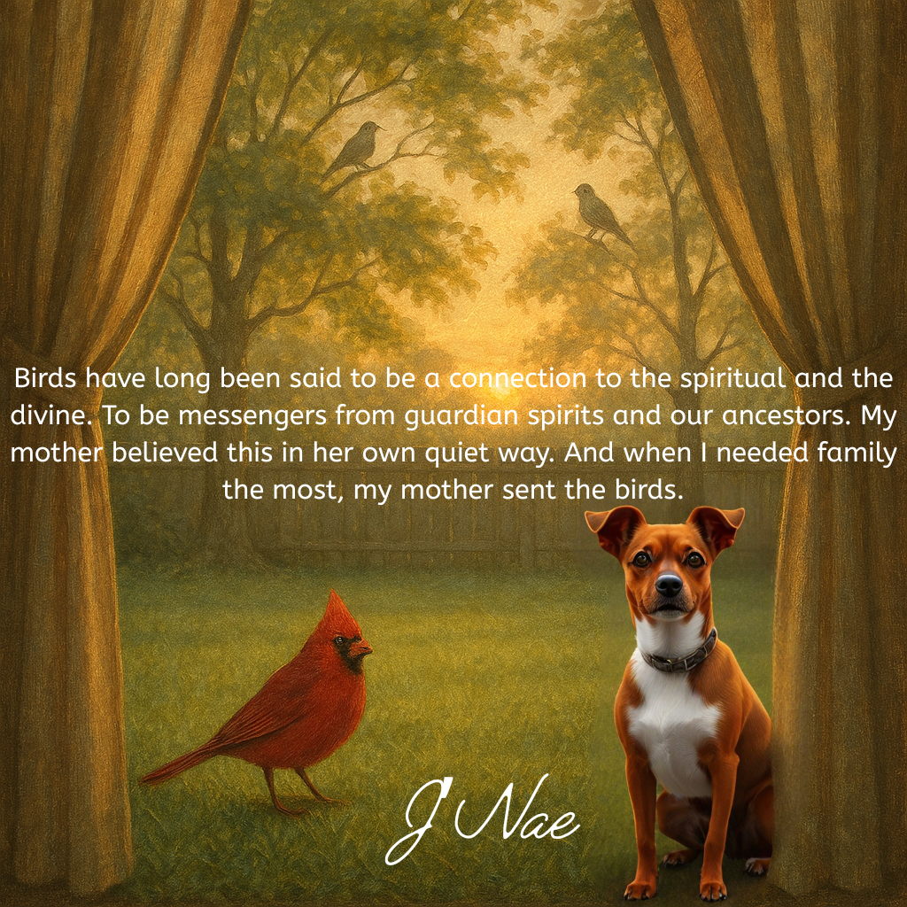 Where There are Birds…. “Wherever there are birds, there is… | by J'Nae ...