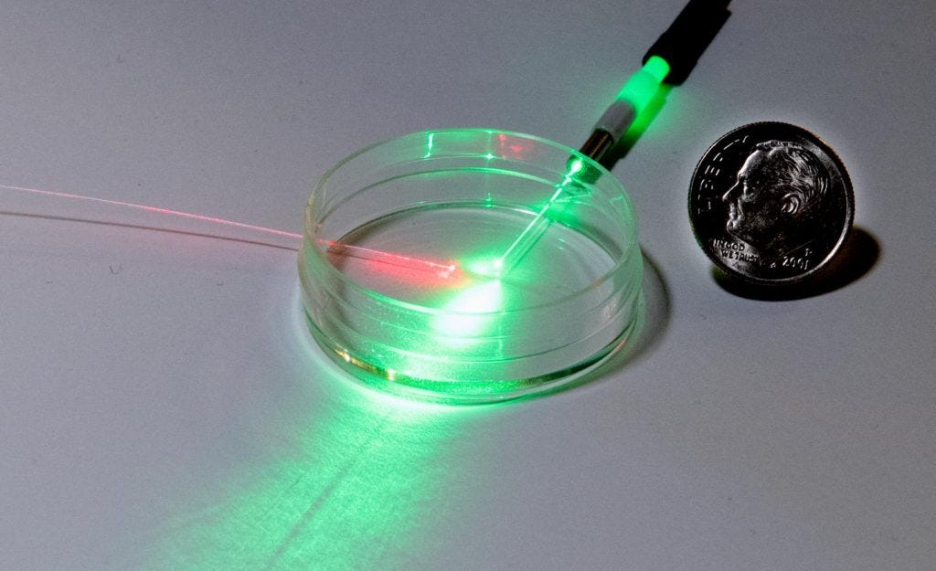 Lasers Facilitate Stem Cell Grown Organs | by StemSave, Inc. | Medium
