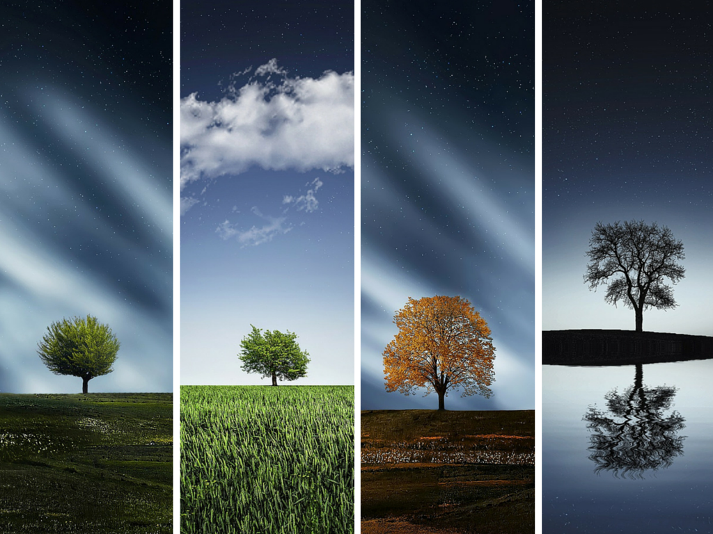 Le chant des quatre saisons. Chaque saison est une attente et une… | by ...