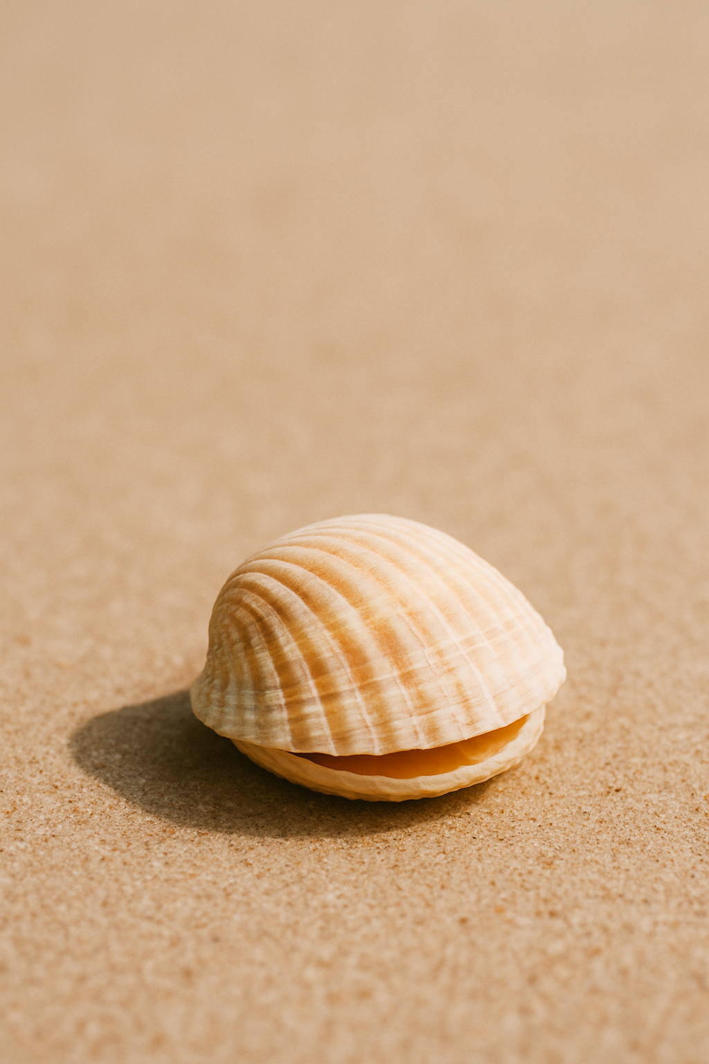 Stepping out of my shell | by Adepelu Damilola Ayomide | Nov, 2025 | Medium