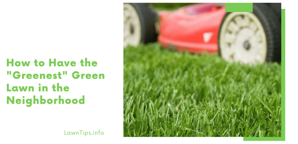 How to Have the “Greenest” Green Lawn in the Neighborhood — Lawn Tips ...