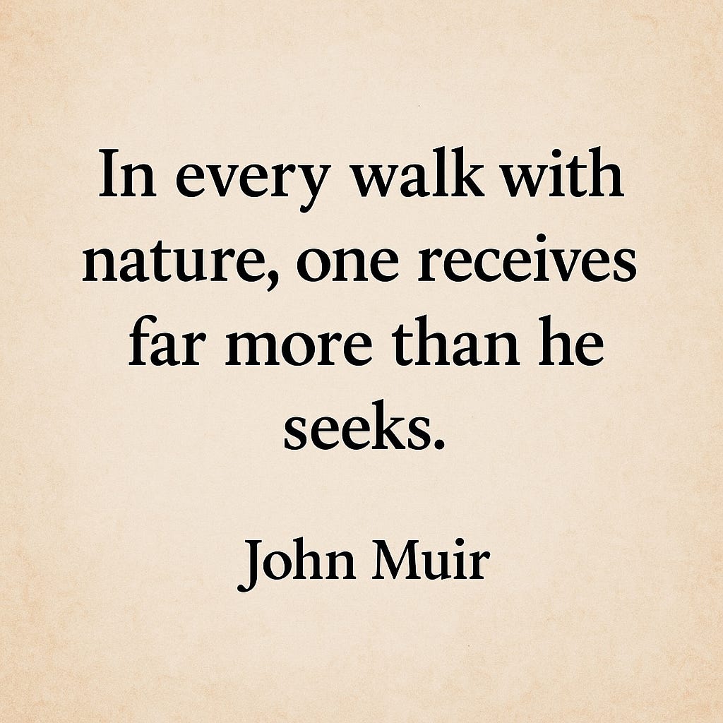 OpenAI Codex: The New Era of AI Coding Agents and Developer Productivity | by Reza Rezvani | Medium