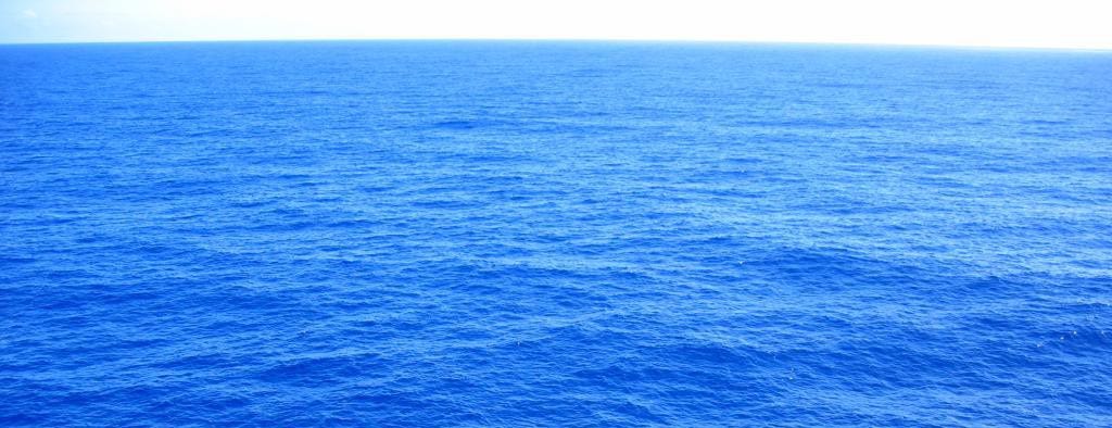 There’s No Such Thing as ‘Blue Ocean’ | by Sung Cho | Medium