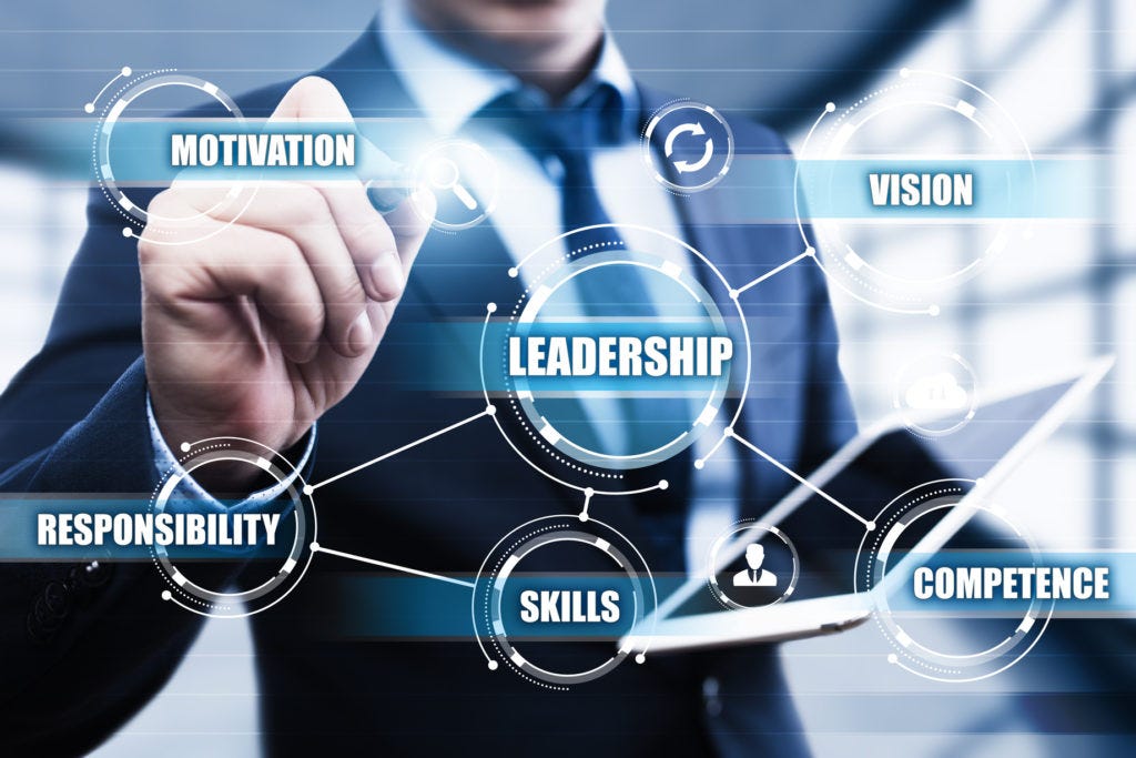 The Role of CEO Personality and Leadership in Tech Startup Success: A ...
