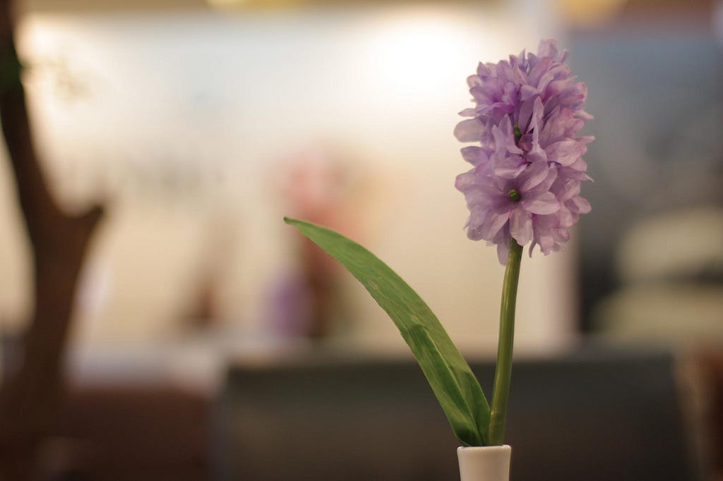 Mr. Flowers. One Hundred Word Story #34 | by Ré Harris | Medium