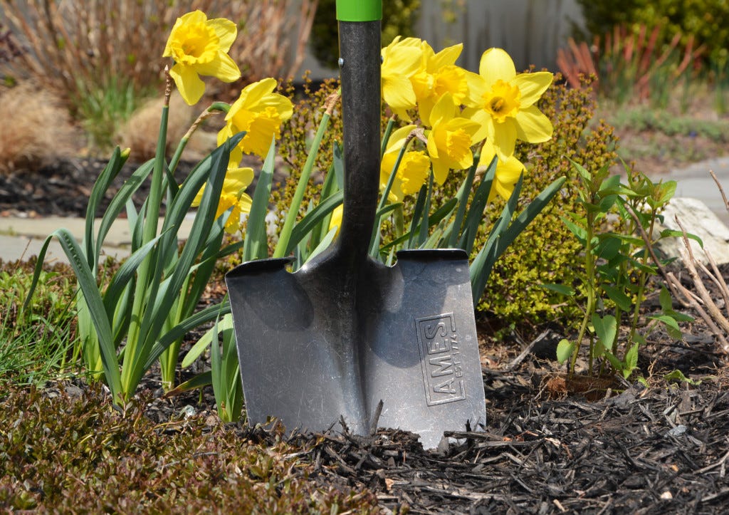 Why I garden. Because it transforms me. | by John Markowski | Medium