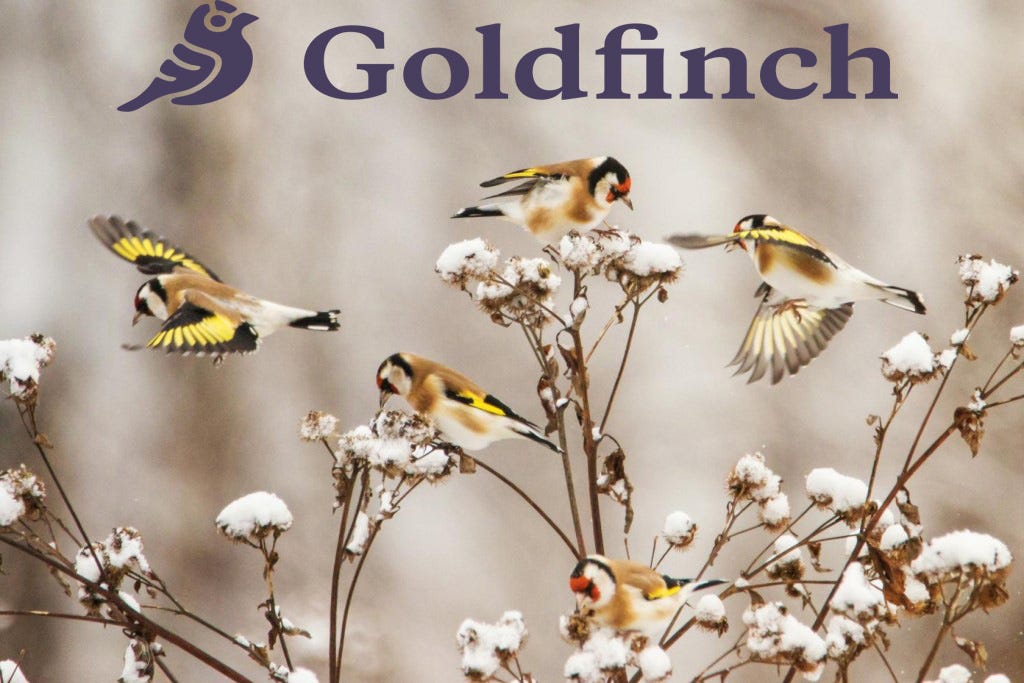My introduction to the Goldfinch Protocol | by gold34digger | Medium