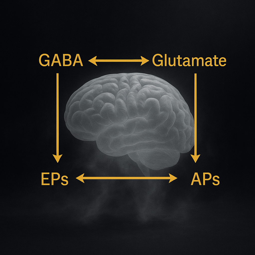 The Original Neurotransmitters: Glutamate for Action, GABA for Fields ...