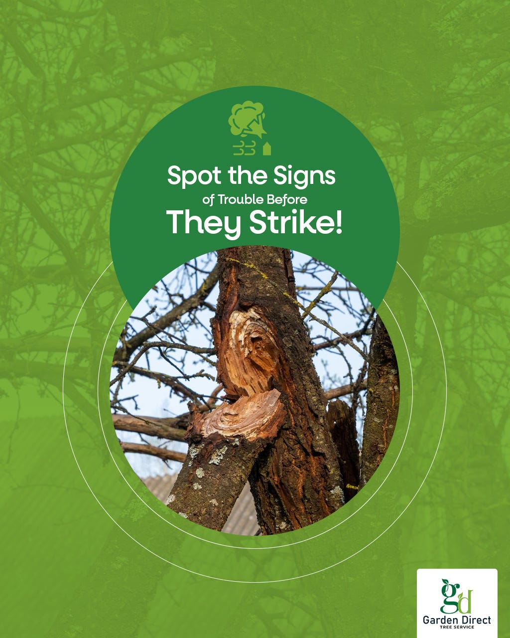 Stay Safe with Regular Tree Trimming in Dublin - Garden Direct and Tree ...