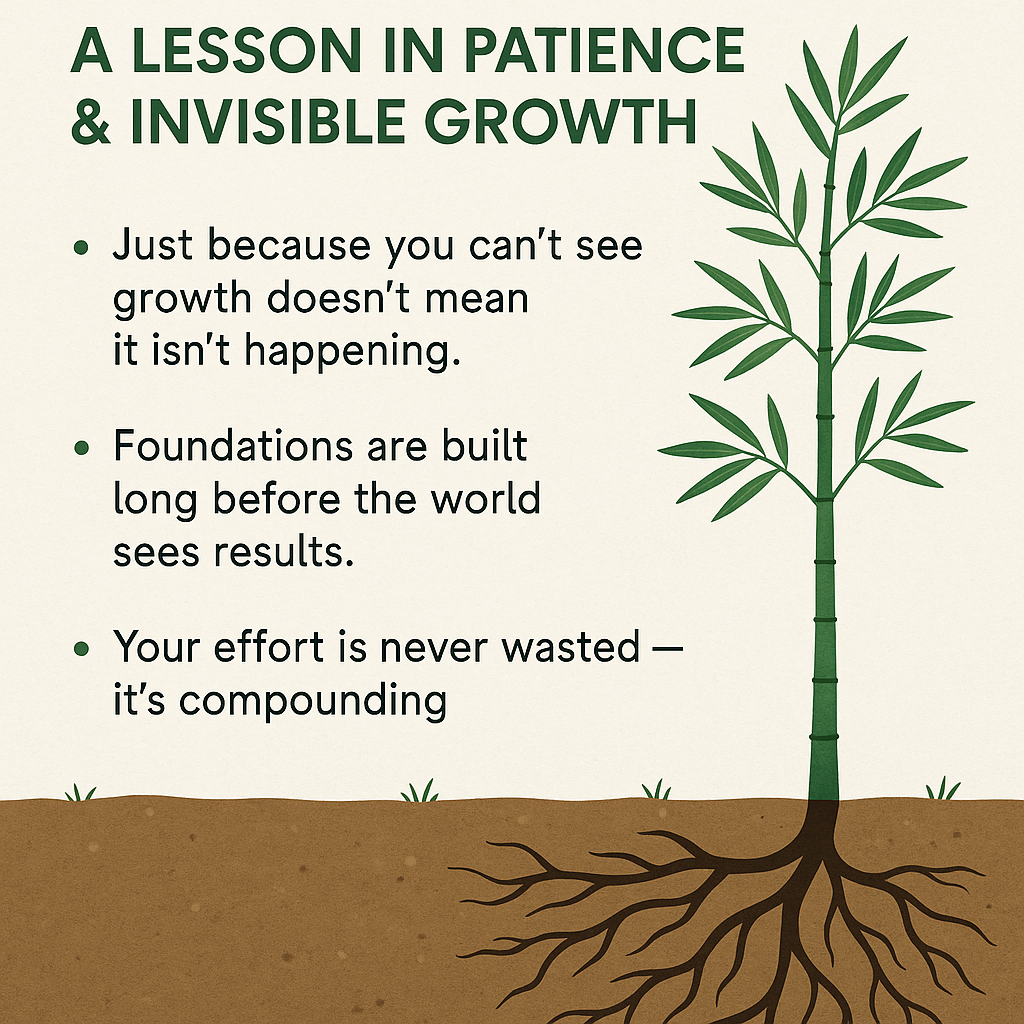 🌱 The Story: What Makes the Chinese Bamboo Tree So Unique? | by Bhavana Jaiswal | May, 2025 | Medium