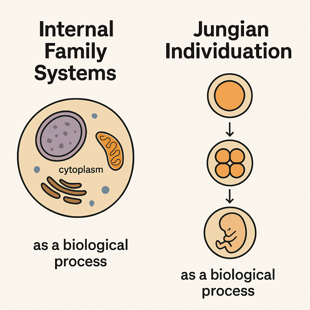 Psychological Microbiology. Mapping Healing from Internal… | by Ann ...