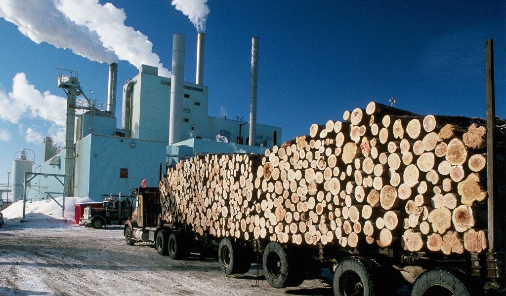 Haws Corporation tempered water Nevada USA, Singapore on Pulp and Paper ...