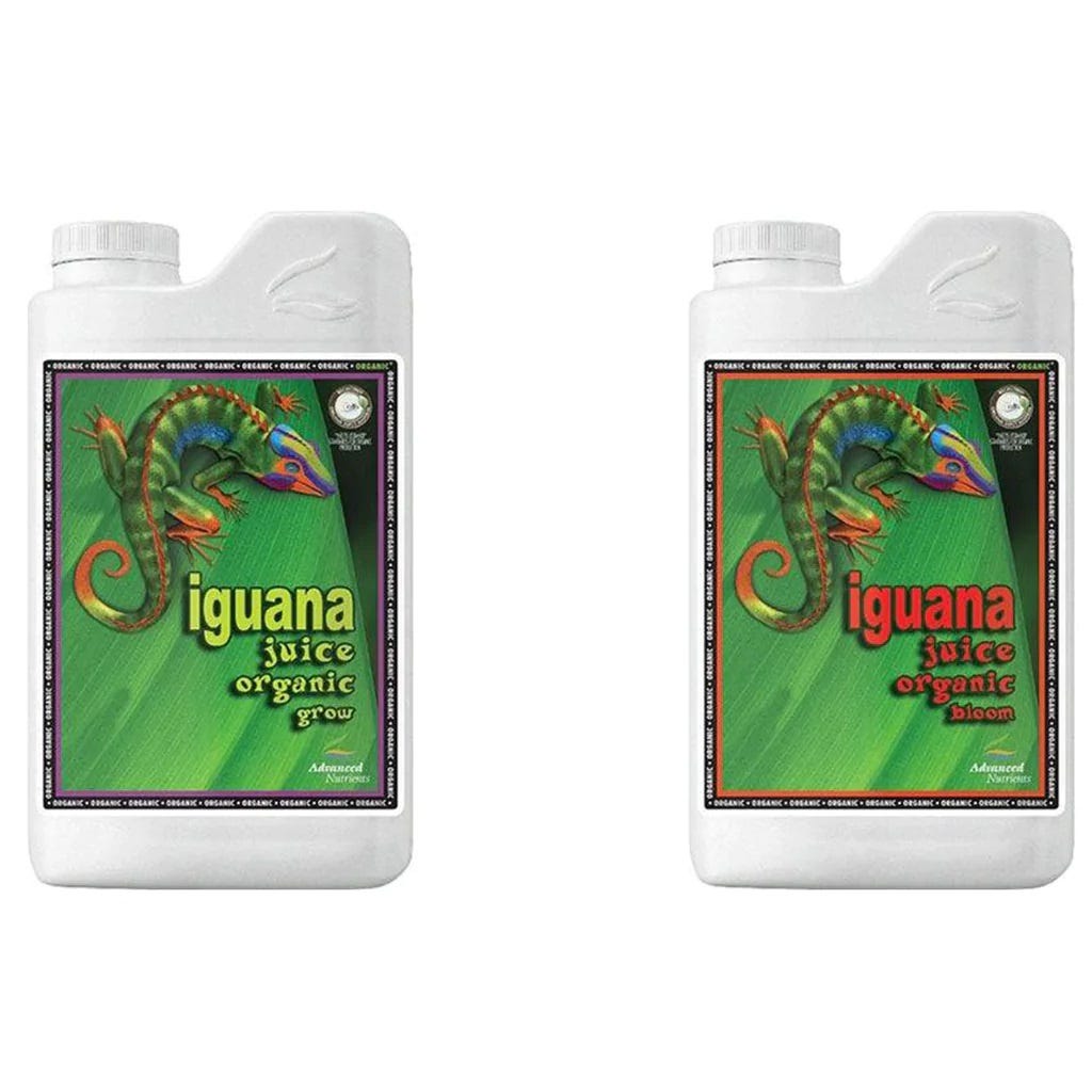 Improving Nutrients Uptake in Plant- Top 3 Ways | by HydroWorlds | Medium
