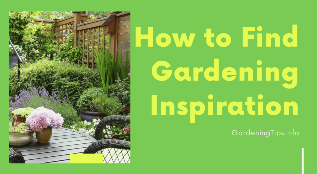 How to Find Gardening Inspiration - Gardening tips - Medium