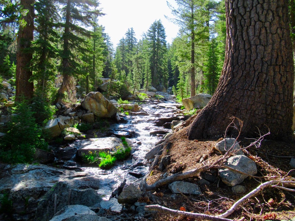 The Yosemite High Route. We’re going the wrong way. | by Nick Burdick ...