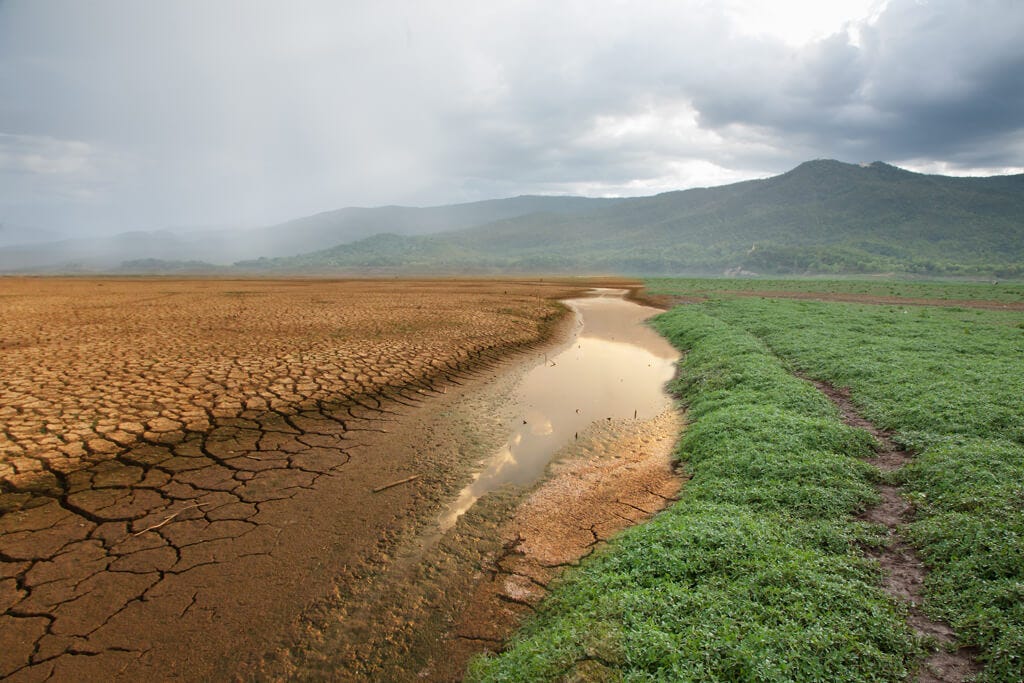 Water and Climate Change: Things You Need to Know | by Julia G Ko | Medium